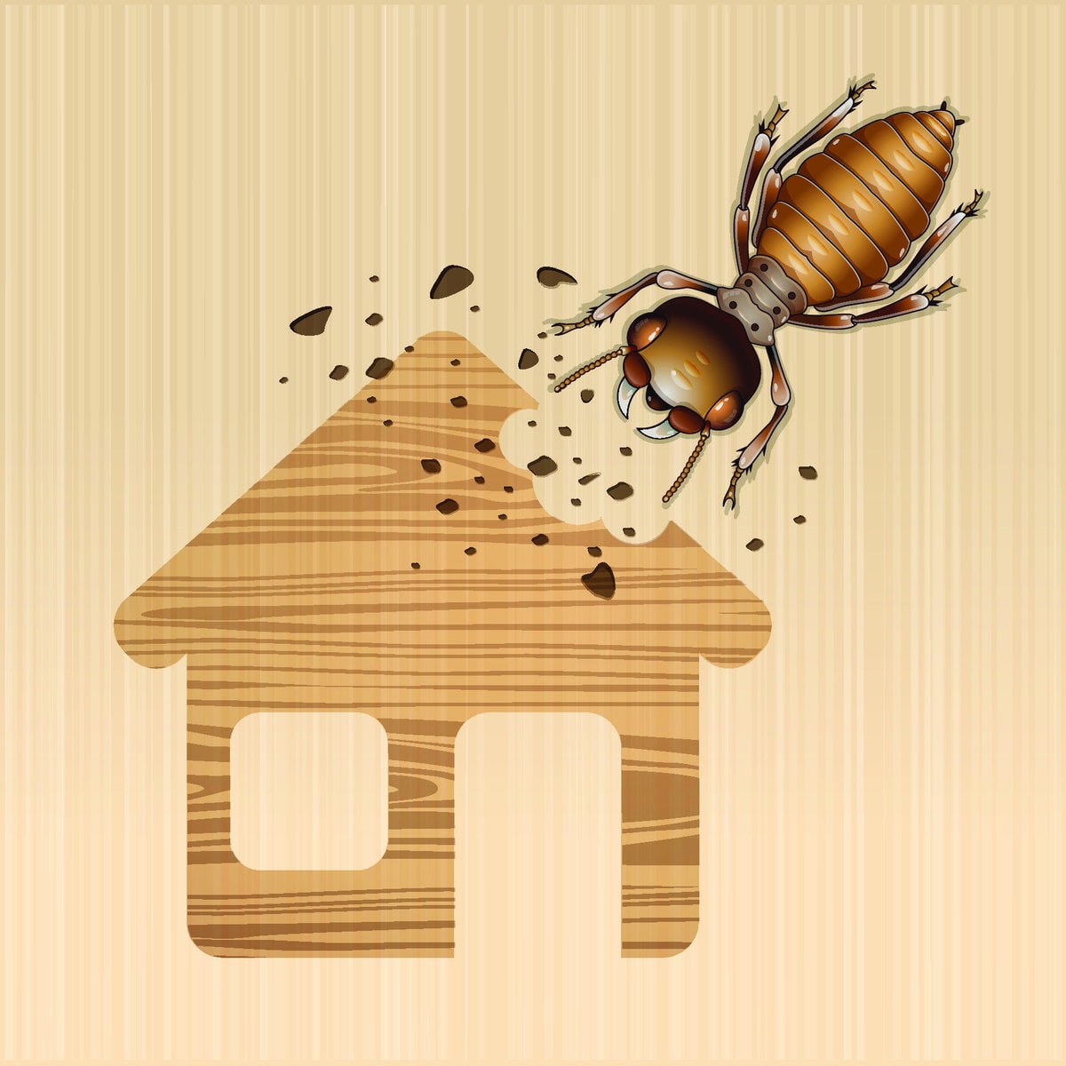 Termite Treatment Cost | Escondido