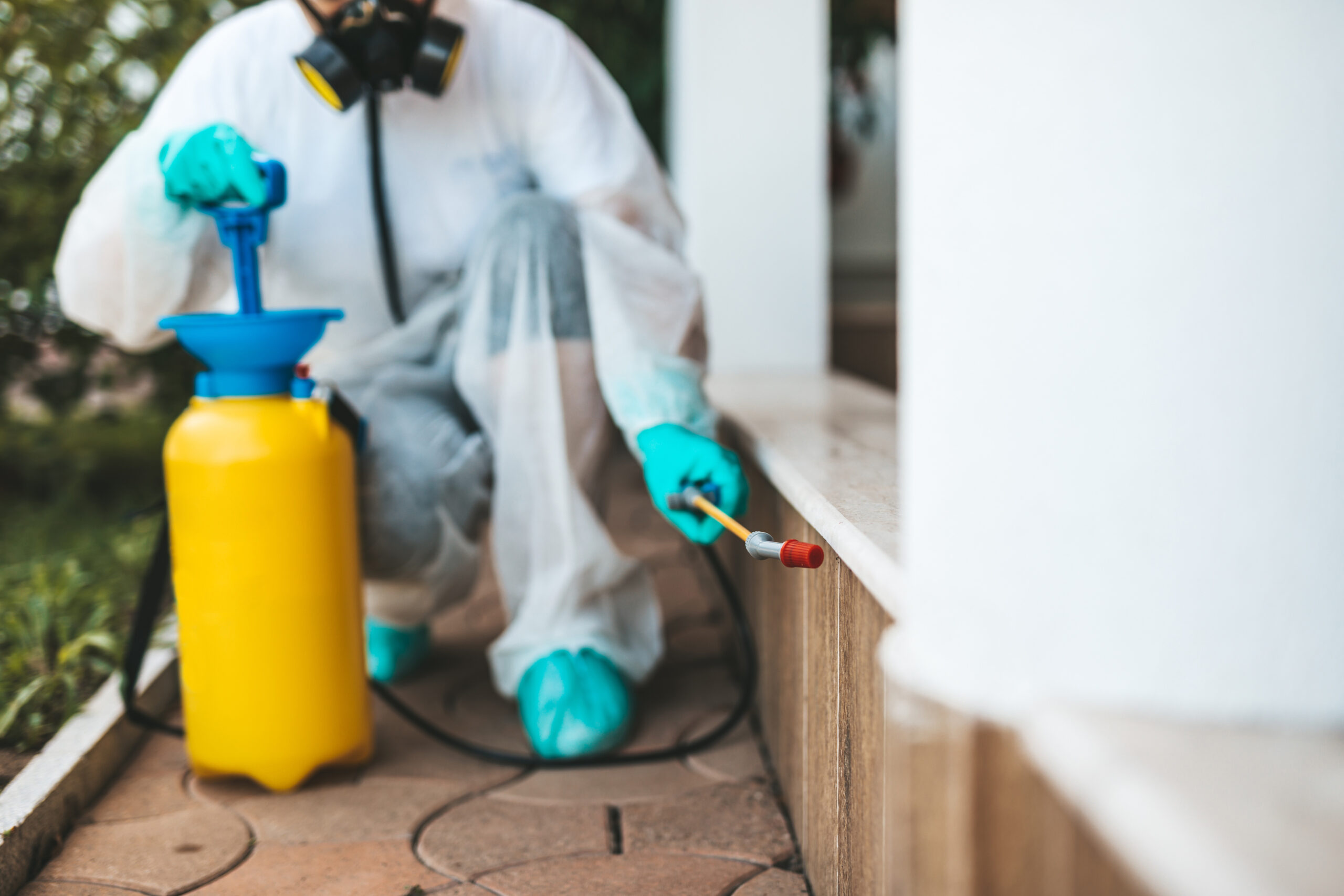 Termite Control Near Me Poway | Hume Termite