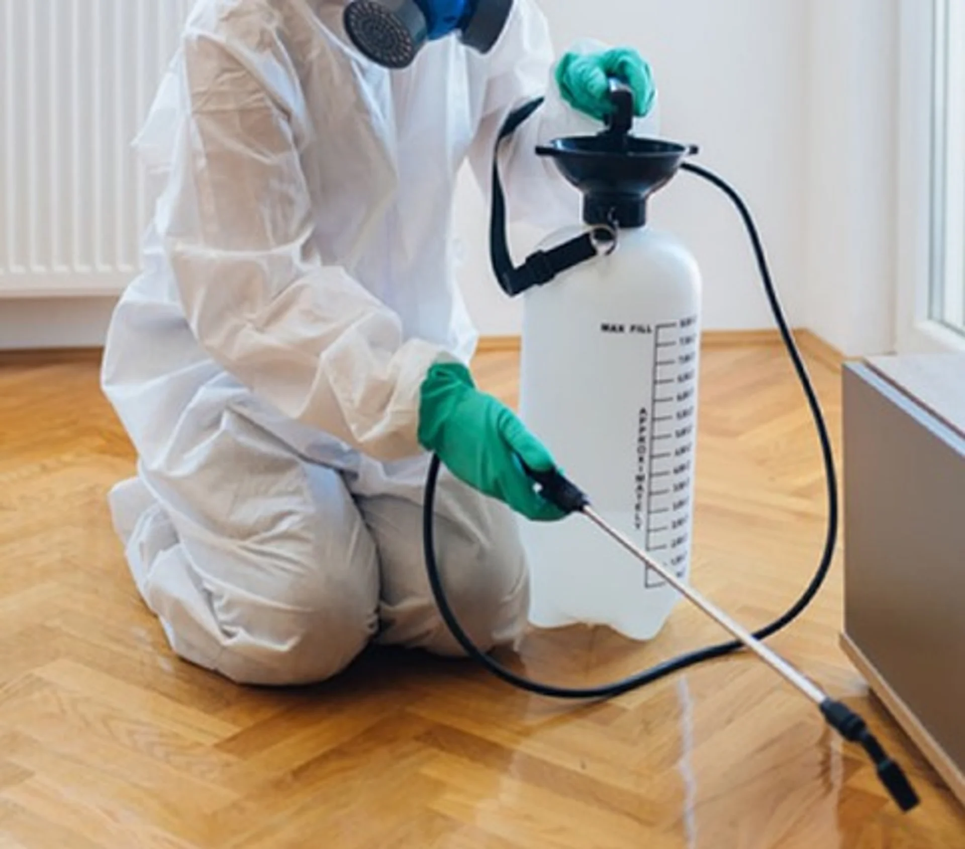 Termite Pest Control Escondido | Hume Termite